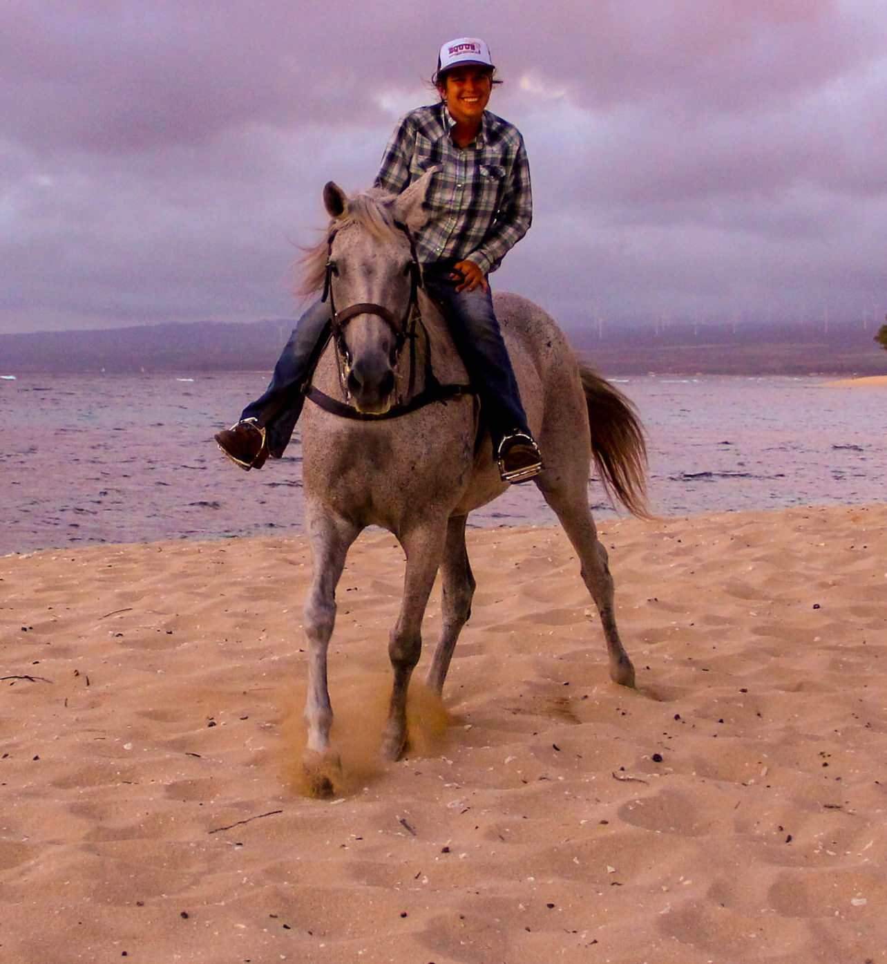 Group Horseback Riding in Oahu, HI | Hawaii Polo Trail Rides