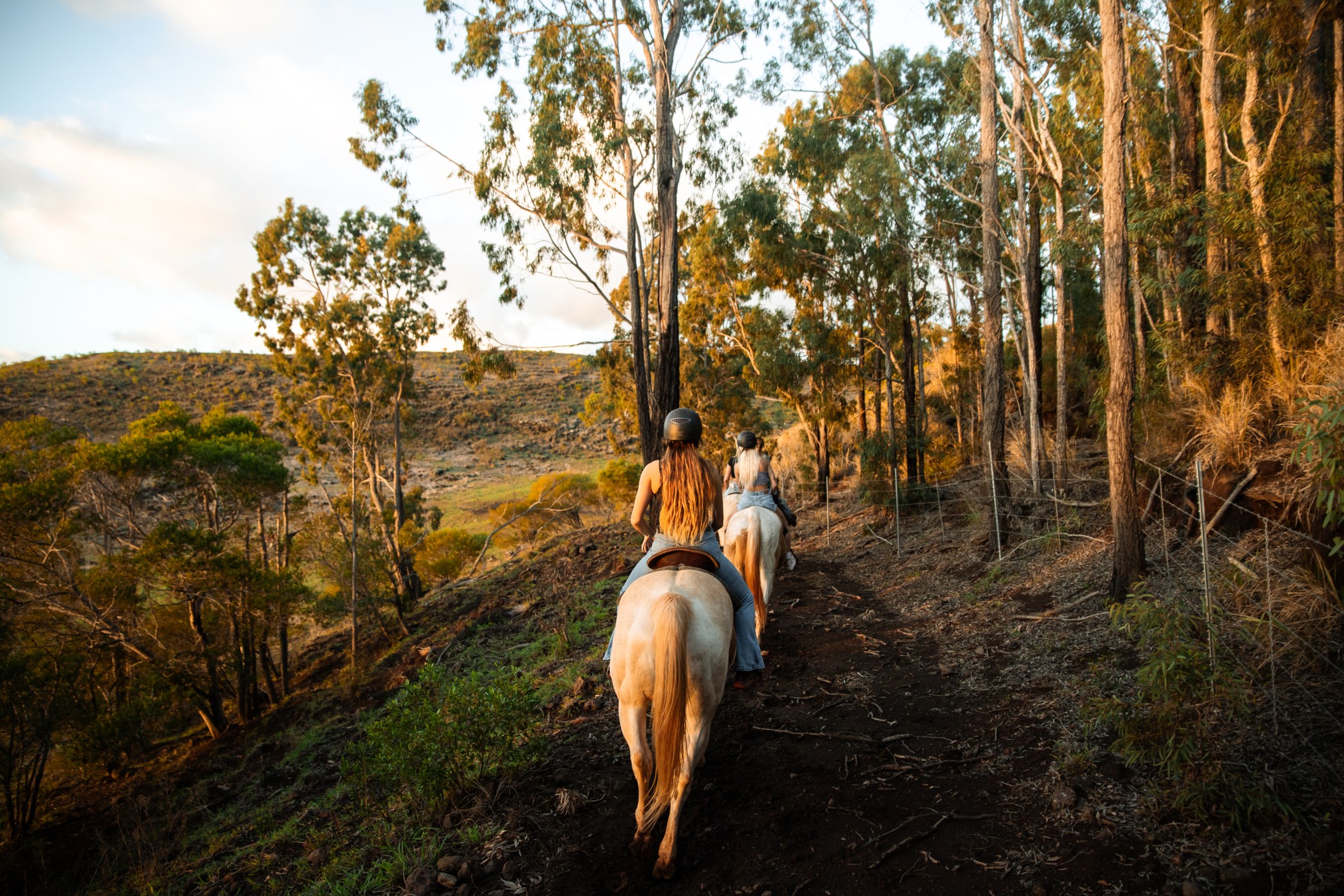 Surf & Turf Ride Package | Hawaii Polo Trail Rides & Palehua