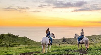 Group Mountain Horseback Ride | Hawaii Polo Trail Rides