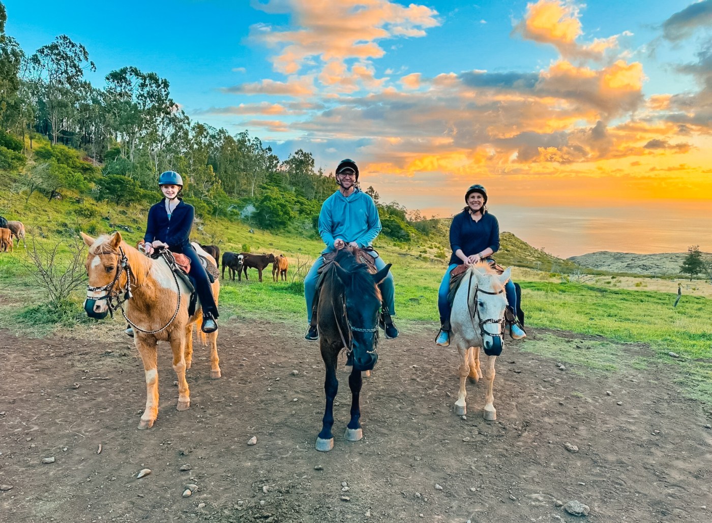 Group Mountain Horseback Ride | Hawaii Polo Trail Rides