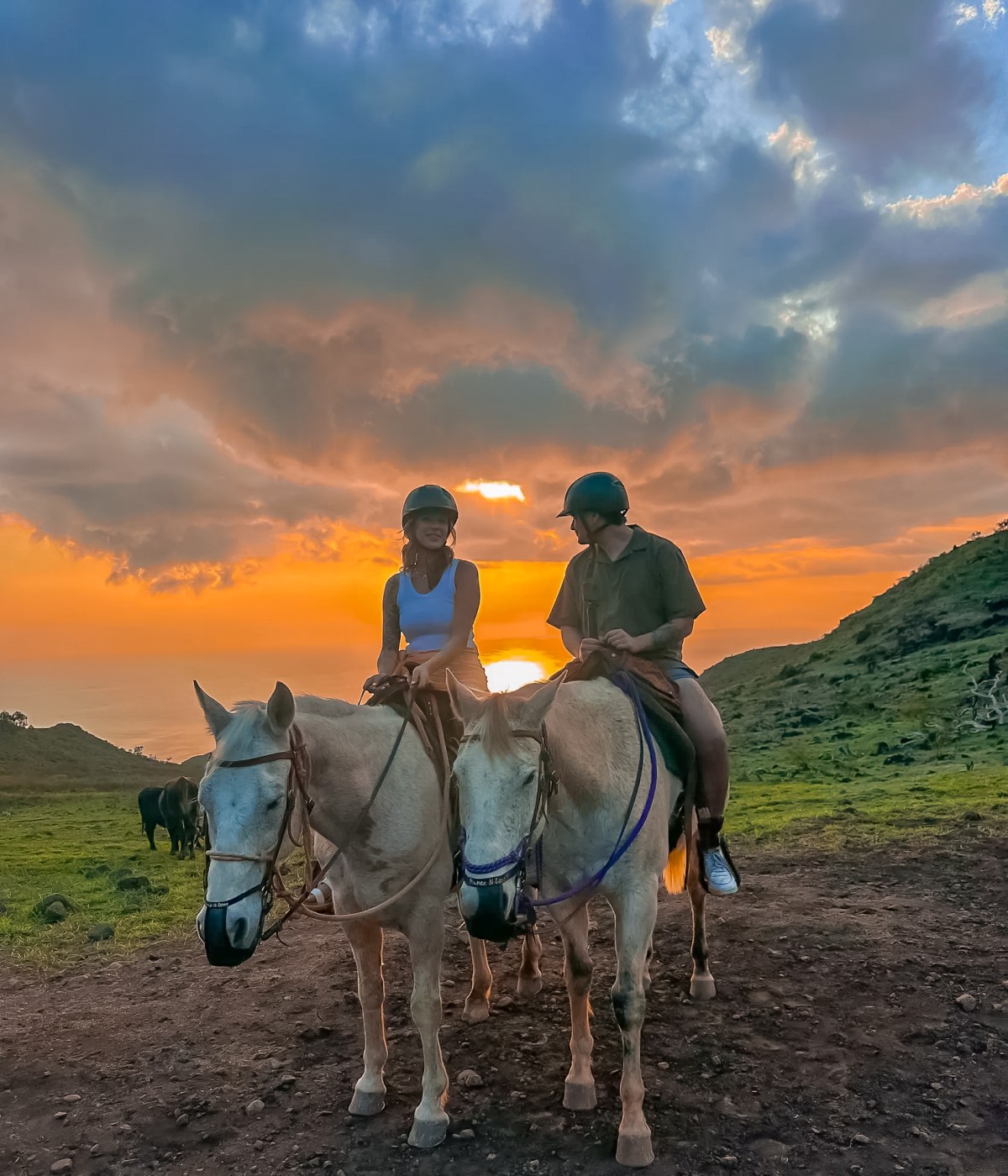 Private Mountain Horseback Ride | Pālehua Trail Rides in Kapolei, HI