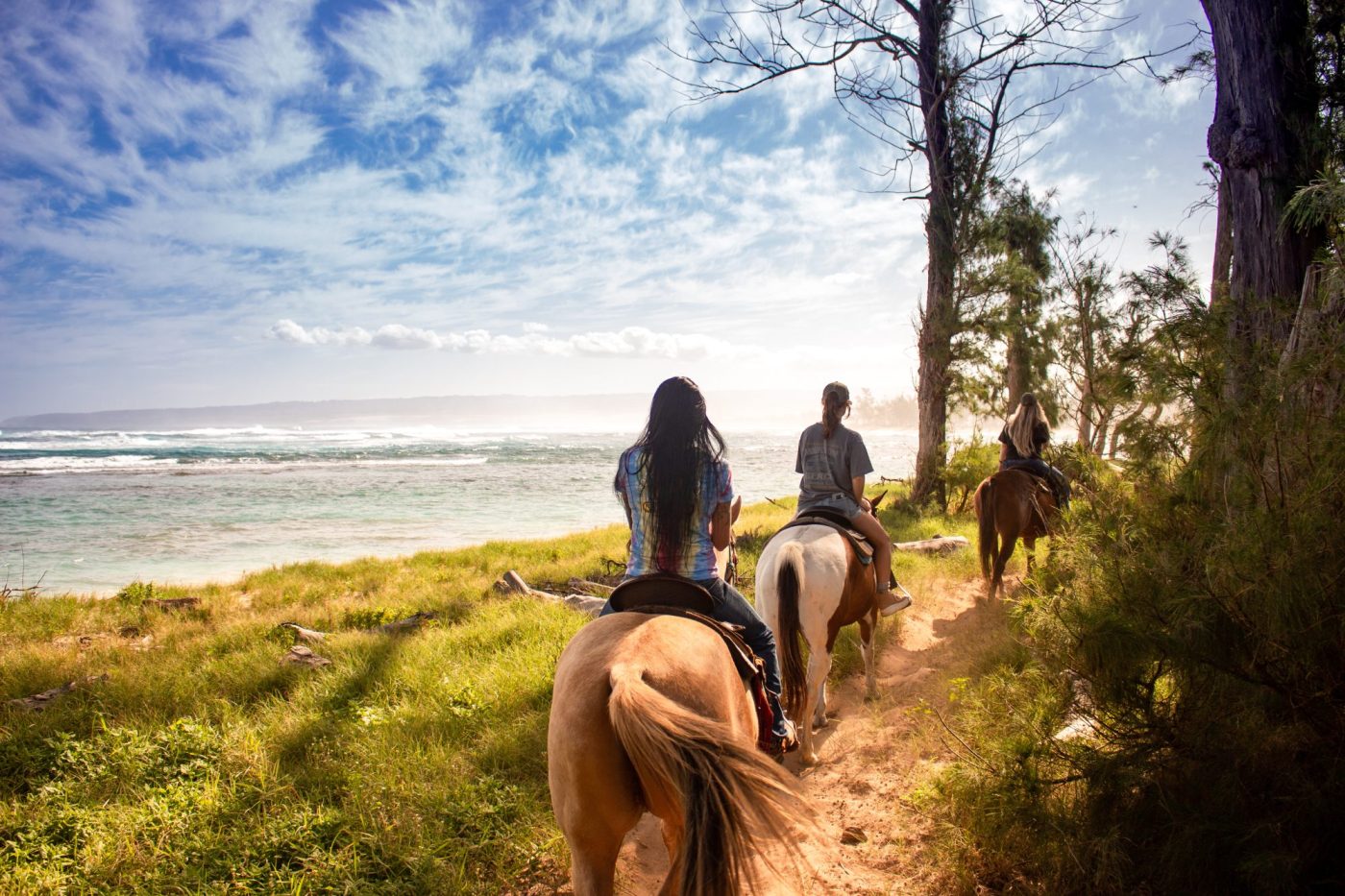 Horse Riding Tours in Oahu | Hawaii Polo Trail Rides
