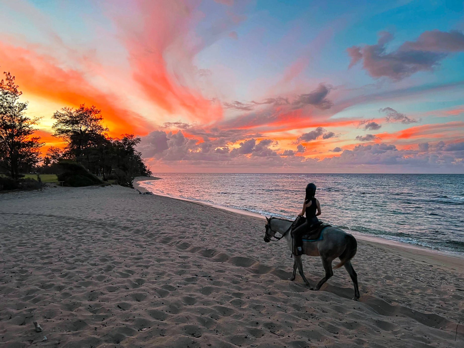 Horse Riding Tours in Oahu | Hawaii Polo Trail Rides