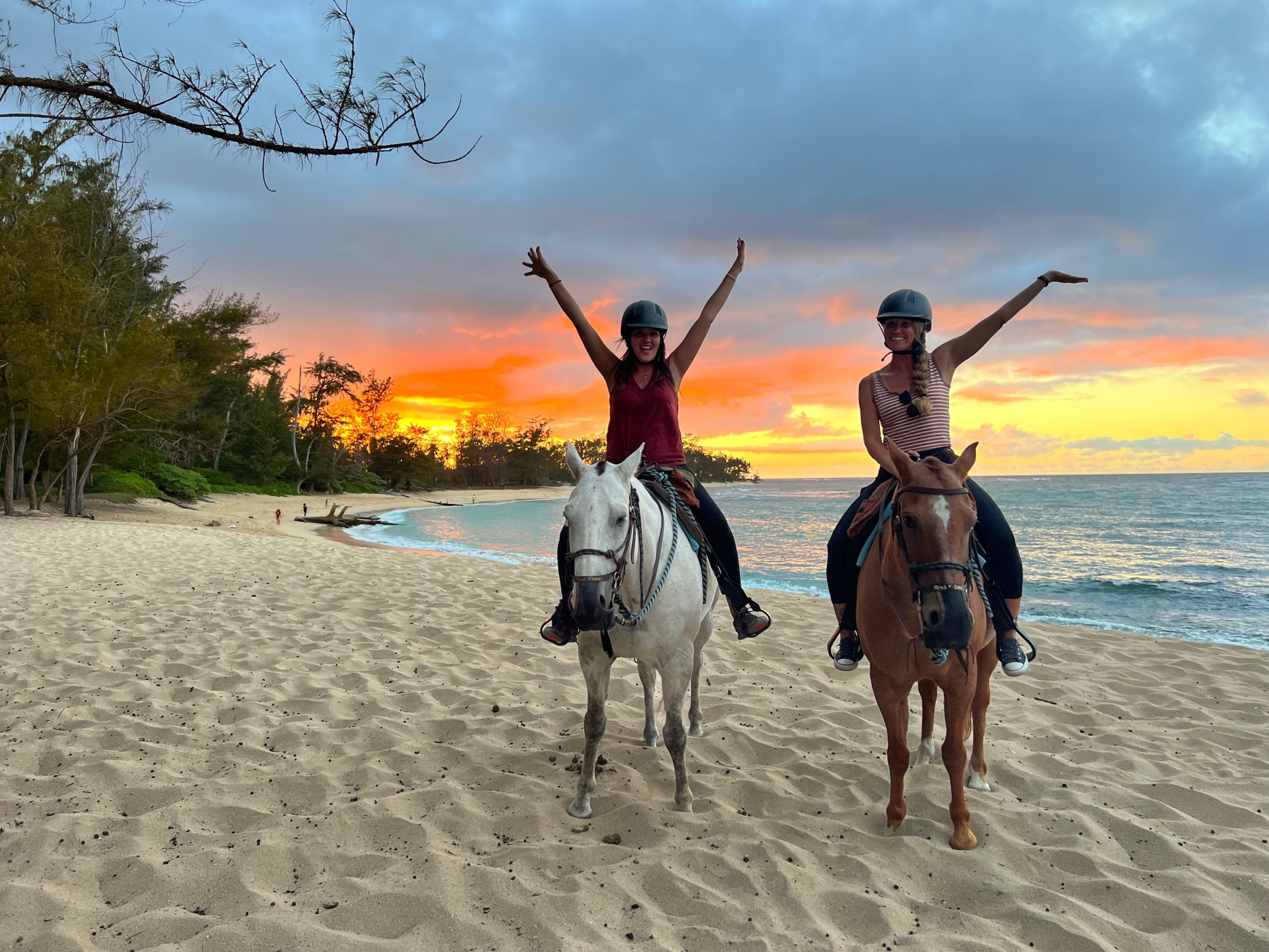 Private Horseback Riding in Oahu, HI | Hawaii Polo Trail Rides