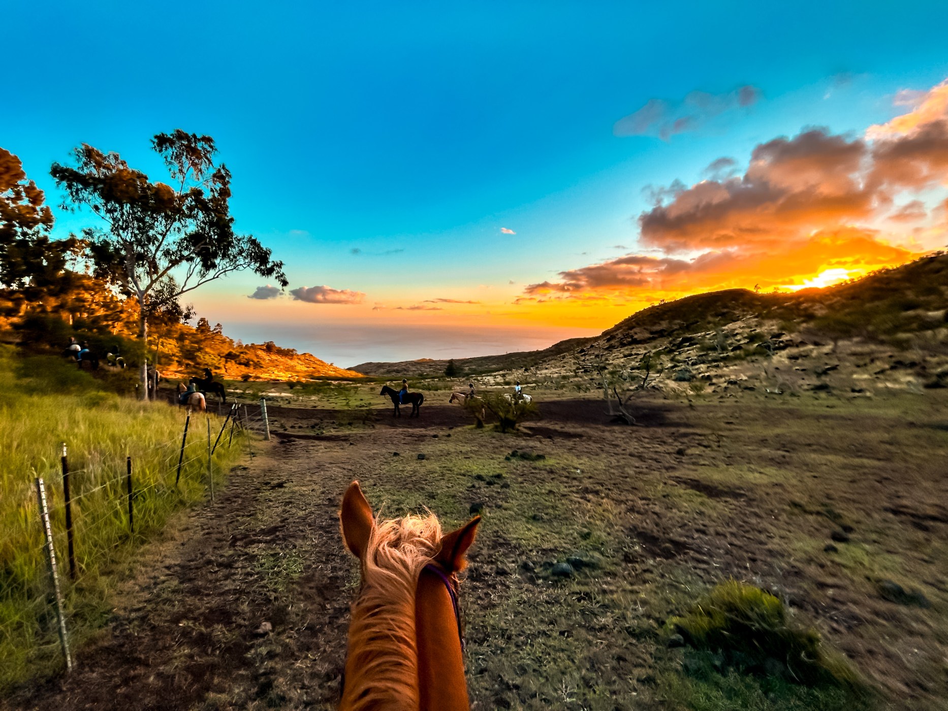 Mountain Horse Riding Tours in Oahu | Pālehua Trail Rides | Hawaii