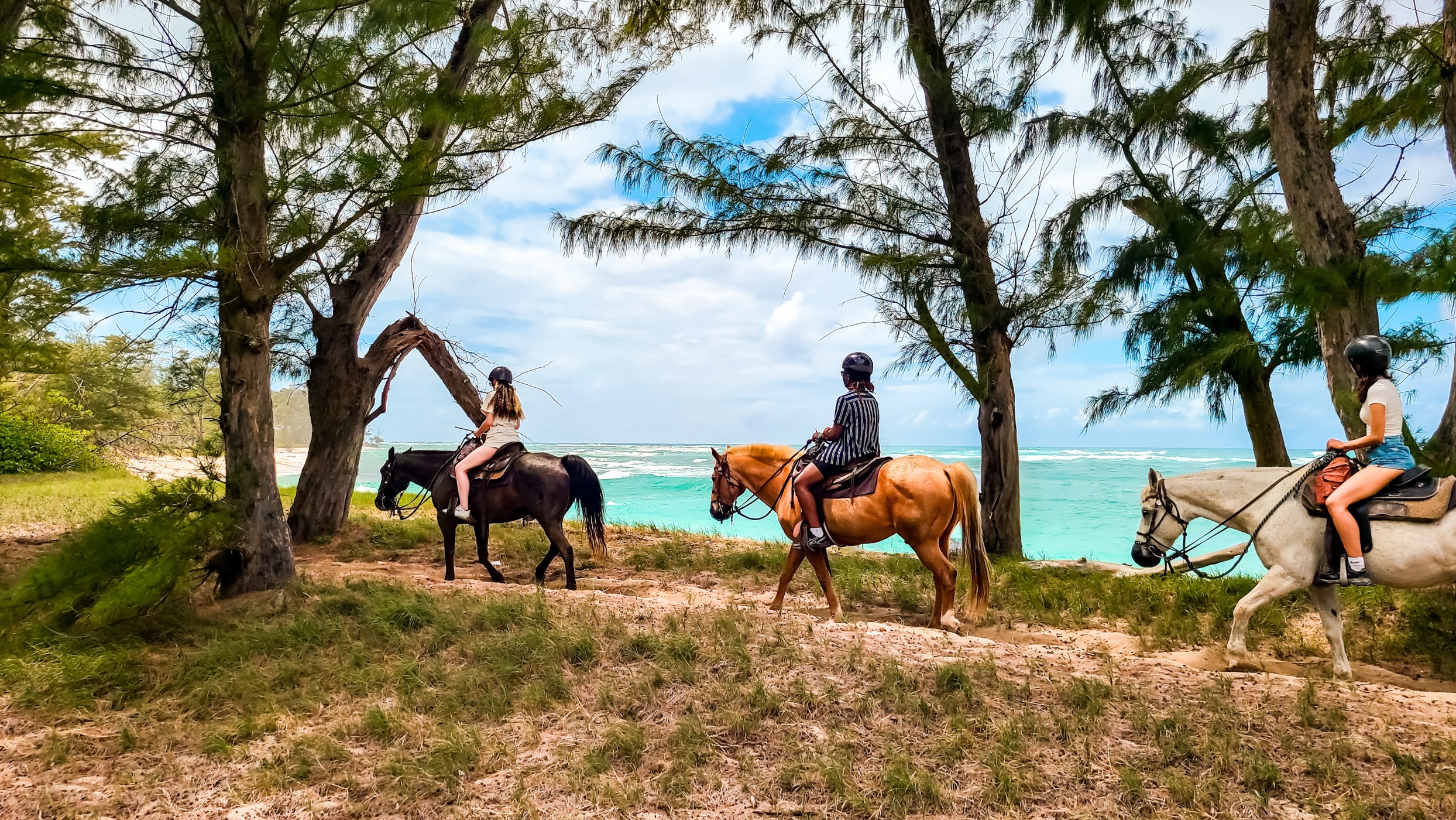 Oceanfront Horseback Riding in Oahu, HI | Hawaii Polo Trail Rides